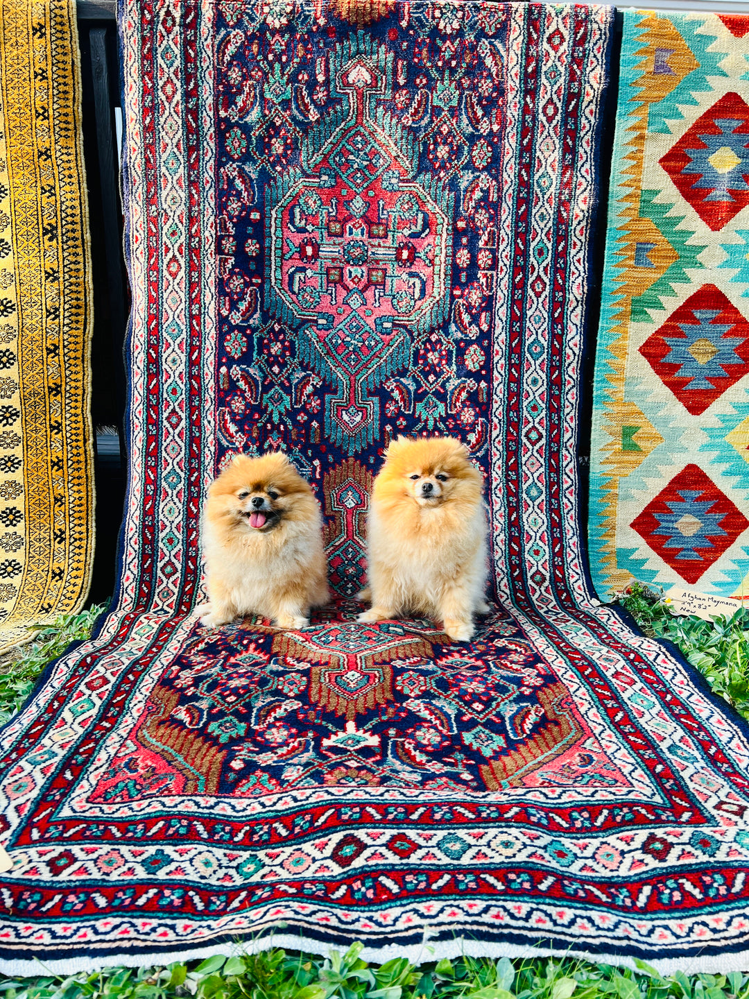 Carpet vs Rug: What's the Difference and How to Choose – Rug the Rock